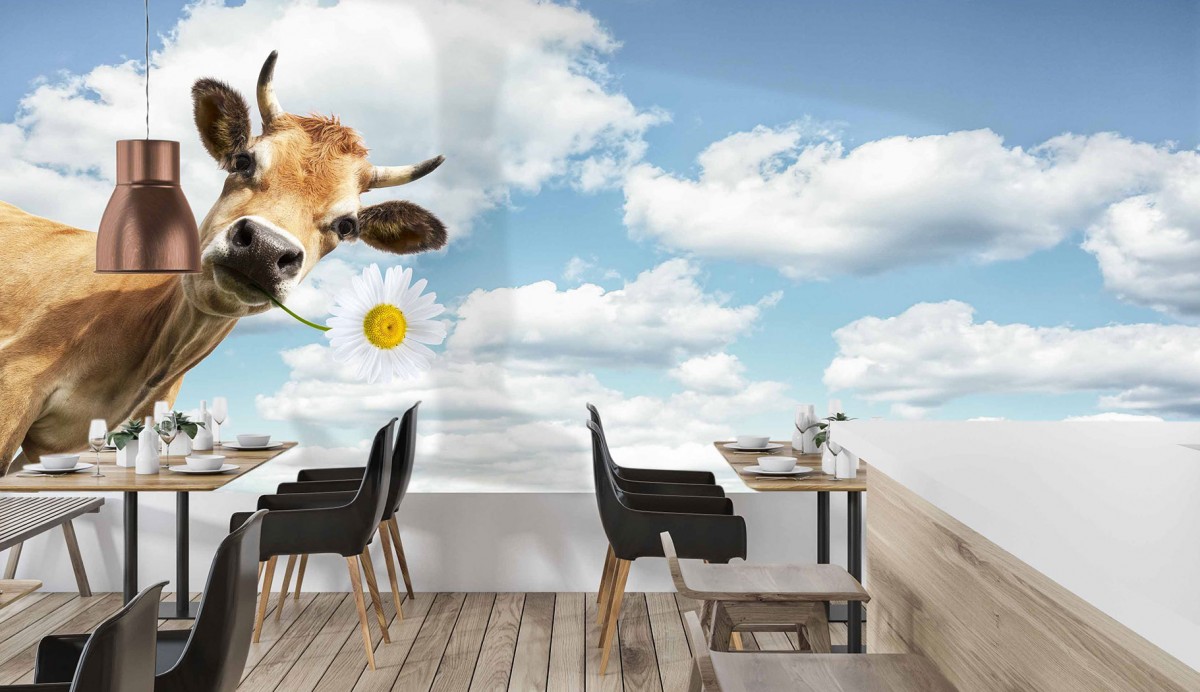 ASLAN PVC-Free Self-adhesive Vinyl & Films | ASLAN Vinyl UK Importer ...