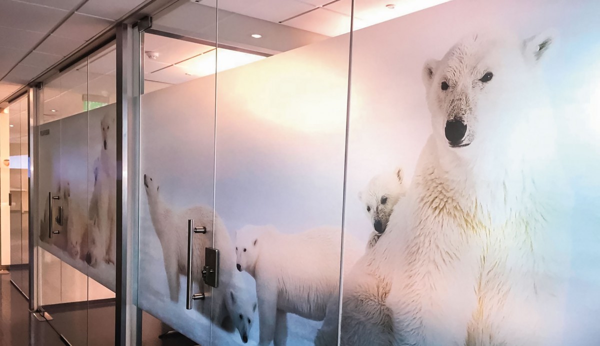 ASLAN Window Graphics Vinyl & Printable Films | ASLAN Vinyl & Films ...