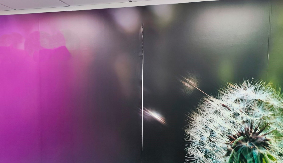 You’ll always get more with Papergraphics. - Papergraphics